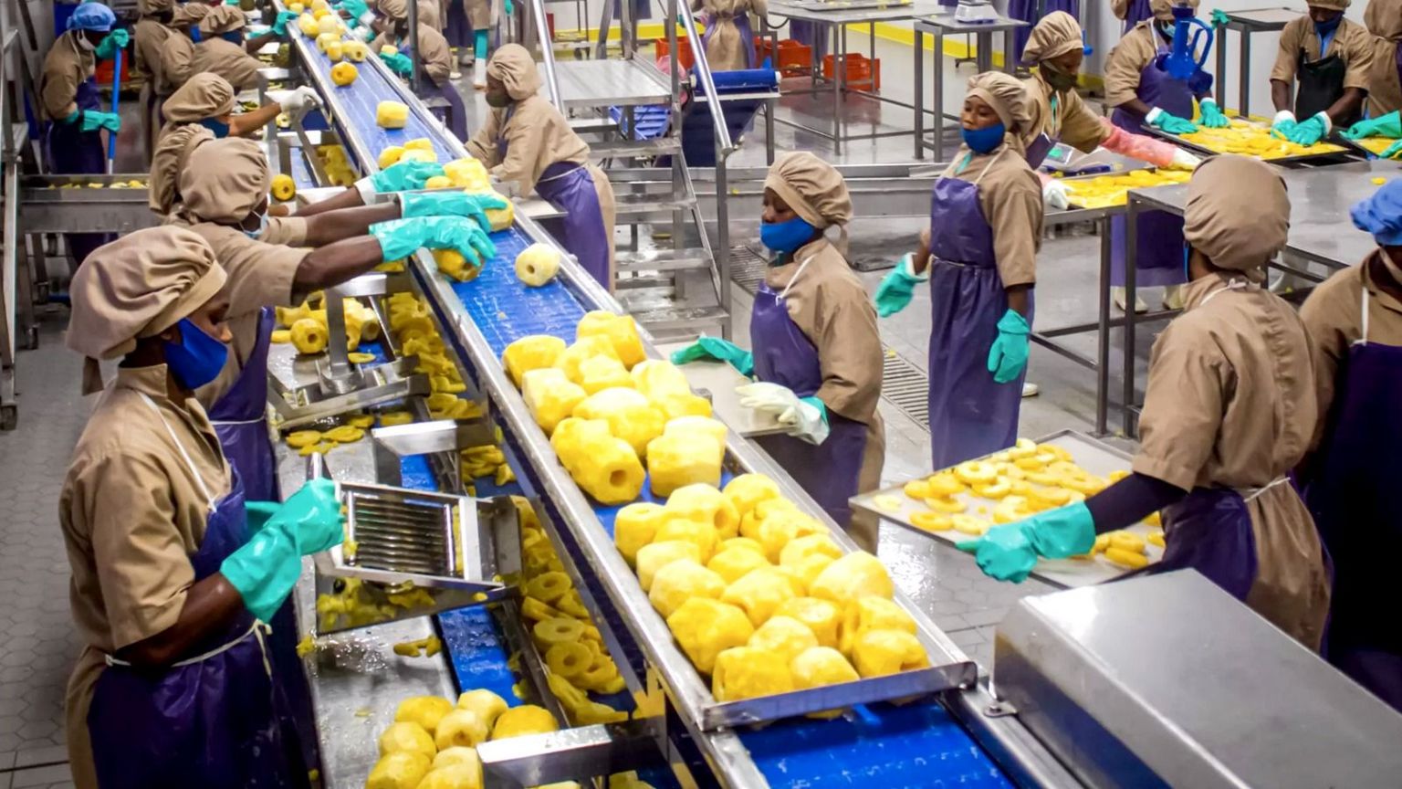 Agro-industrie / l’usine de transformation de fruits séchés tropicaux ...
