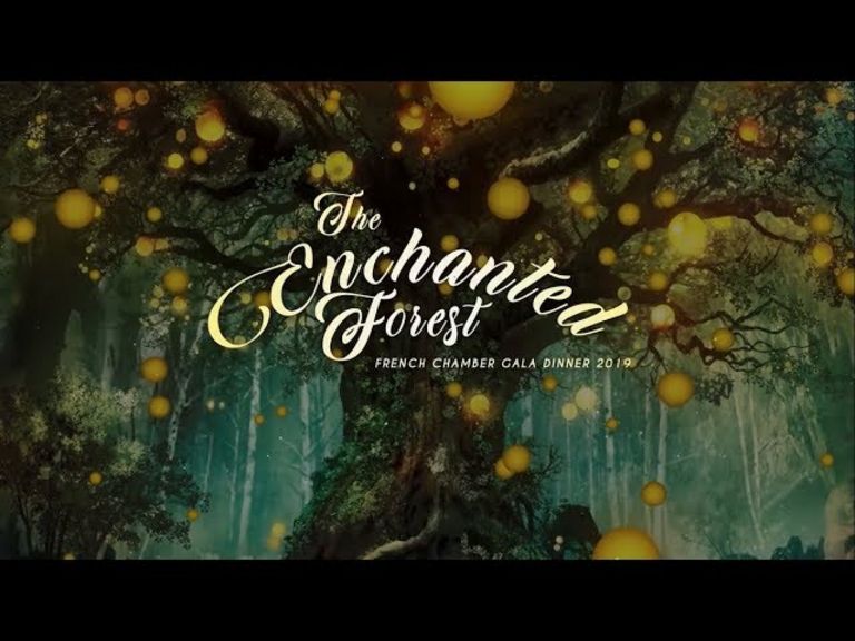 enchanted forest 2019