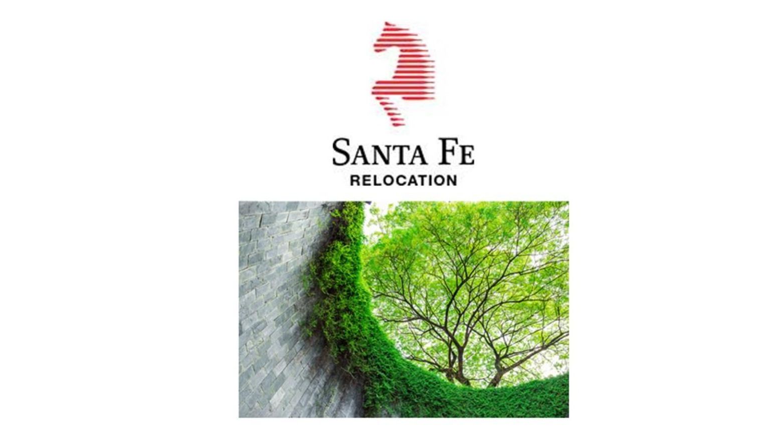 Santa Fe Relocation- Immigration update: Singapore | COVID-19 ...