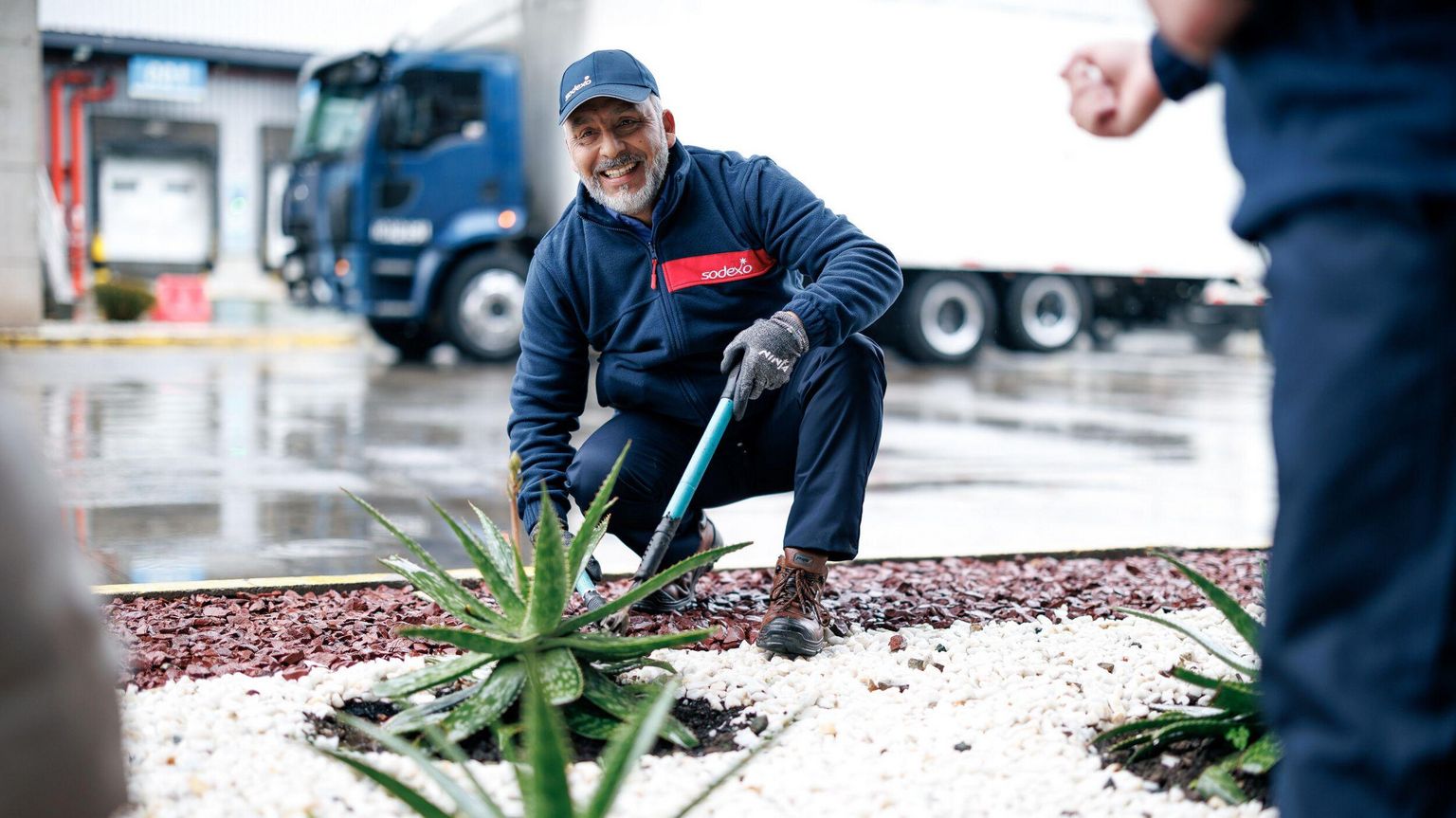 Sodexo recibe calificación A en el ranking climático de CDP | CCI ...