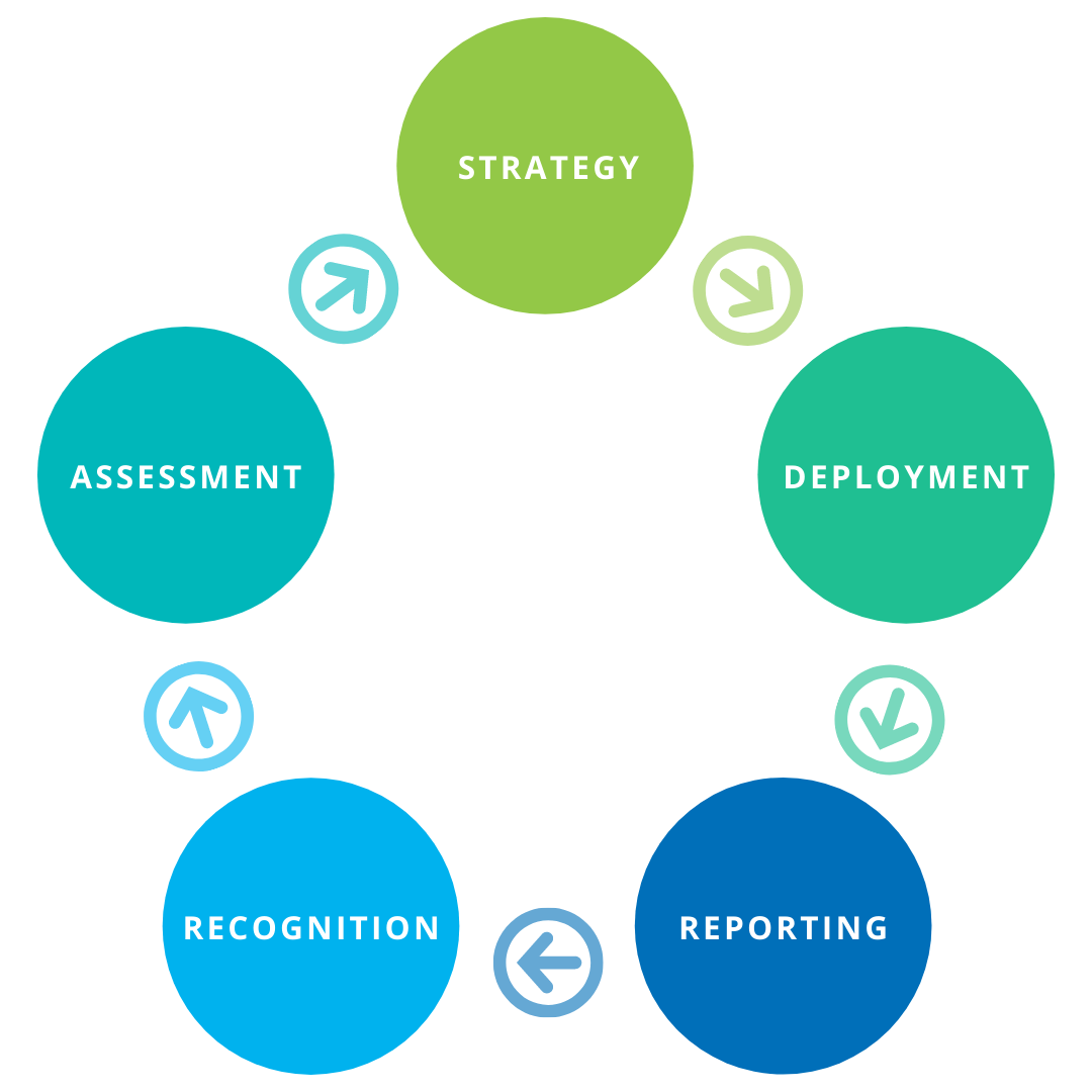 Interview with Ivona Balint-Kowalczyk, founder of Sustainao - Promising ...