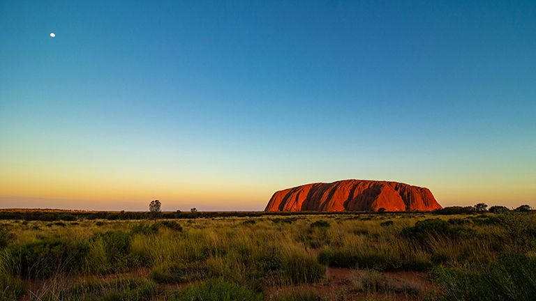 Recipients Announced for NACCHO 2024 Aboriginal and Torres Strait ...