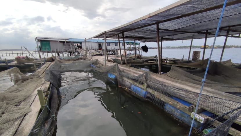 IN FOCUS: As aquaculture booms, what role can small fish farms play in ...