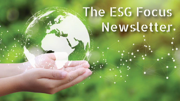 ESG/COP28 Focus Newsletter - October 2023 | CCI FRANCE EMIRATS ARABES UNIS