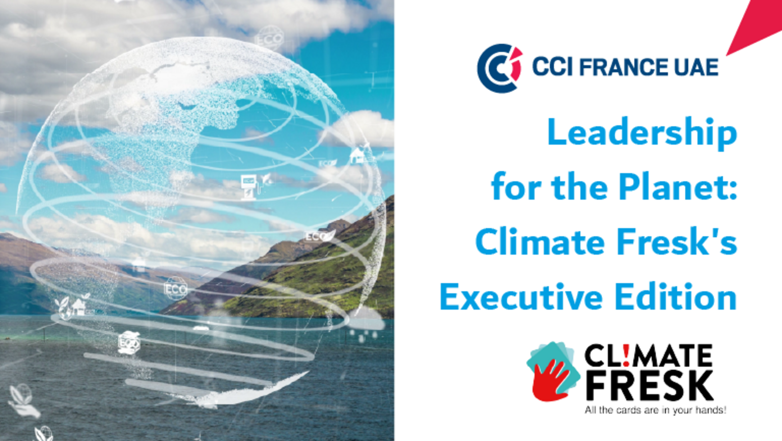 Leadership for the planet : Climated Fresk's Executive Edition | 13 ...