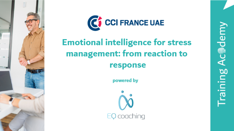 CCI France UAE | CCI FRANCE EMIRATS ARABES UNIS