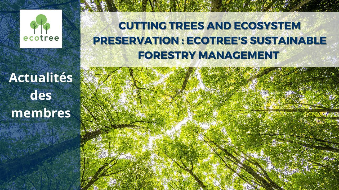 Cutting trees and ecosystem preservation:EcoTree's sustainable forest ...